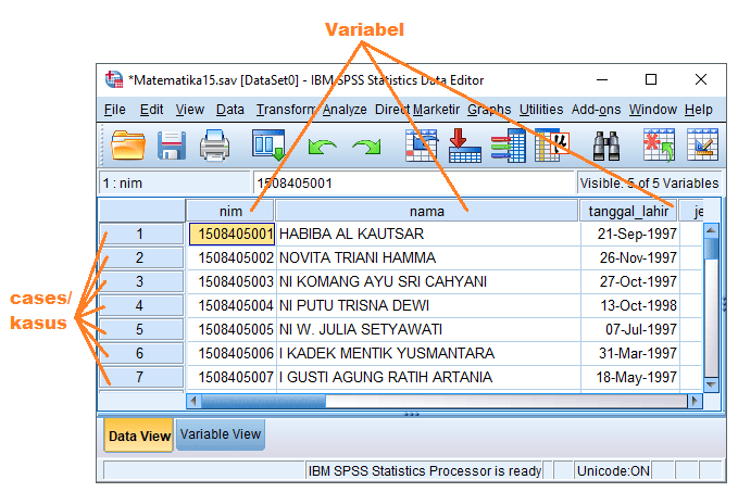 Understanding Data View In SPSS And Its Use MicrosoftExcel