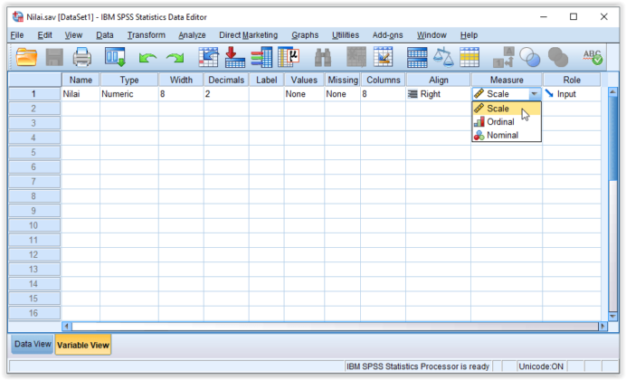 Pengertian Measure: Perbedaan Scale Nominal dan Ordinal pada SPSS