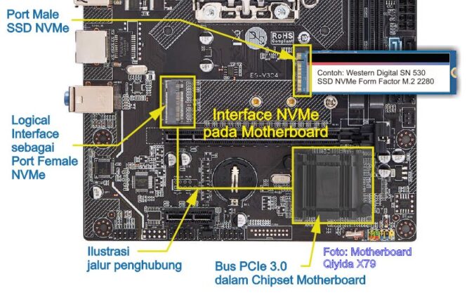 NVMe | Pengertian NVMe, SSD NVMe, dan Form Factor